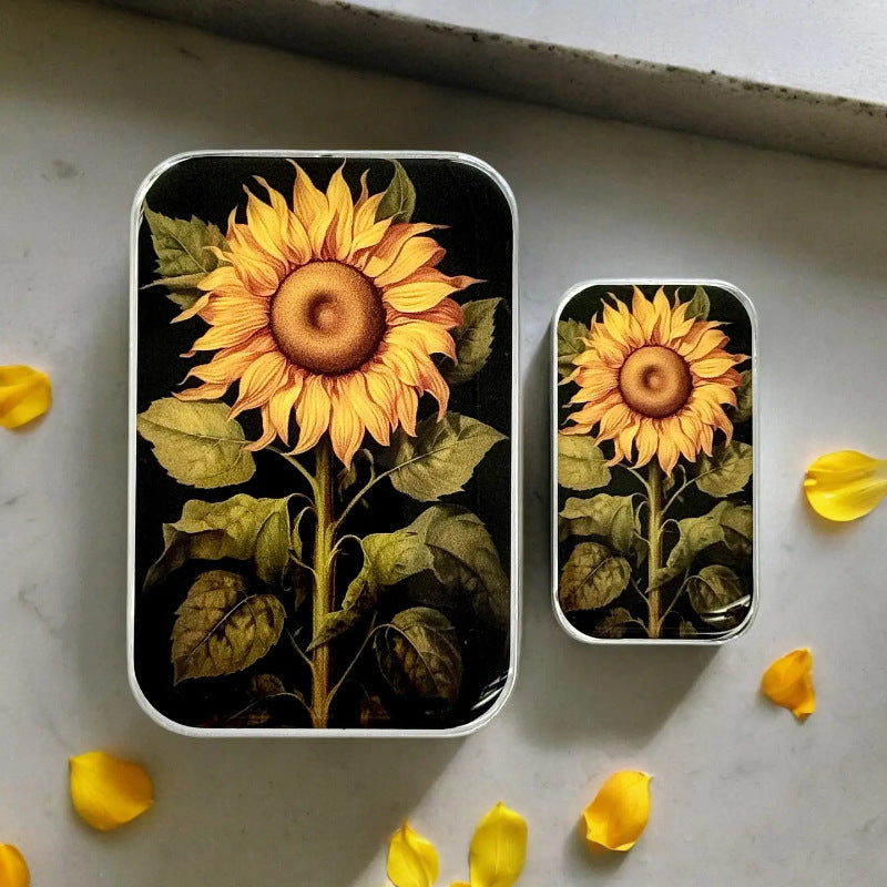 Discover Our Favorite Notion Tins from Firefly Notes | Shop Now!
