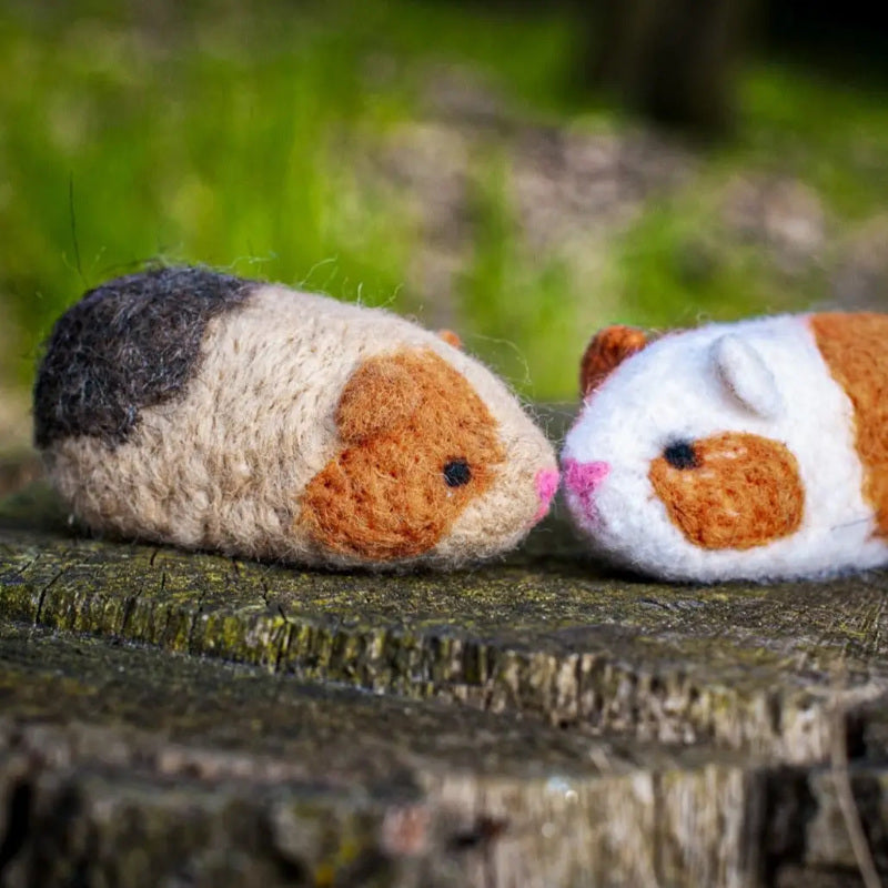 Guinea Pigs Needle Felting Kit – The Craftivist